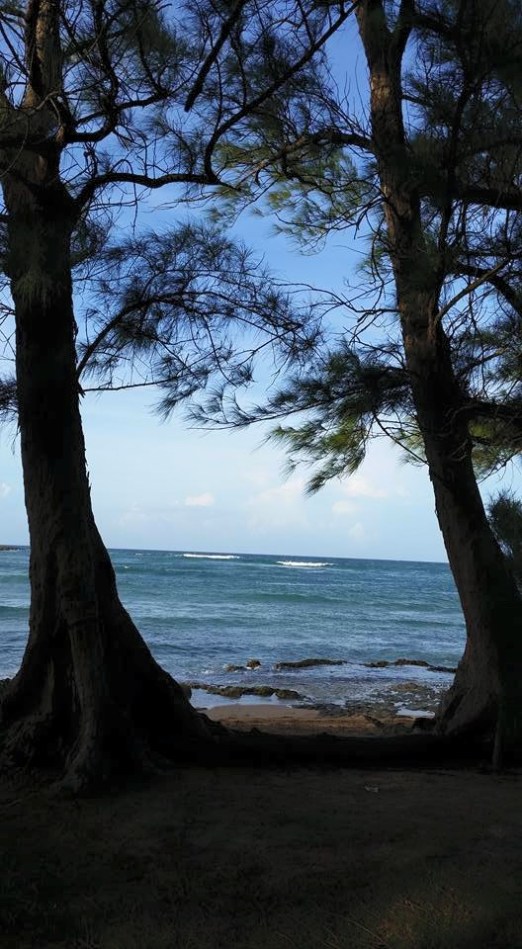 Costa vegabajeña: En la ruta de Cibuco – La voz vegabajeña