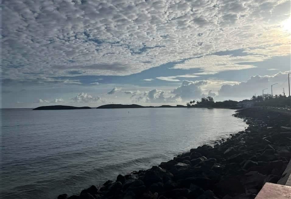 Estado del Tiempo en Vega Baja: Caluroso y brumoso; 76 a 91 F; Escaso 7 ...