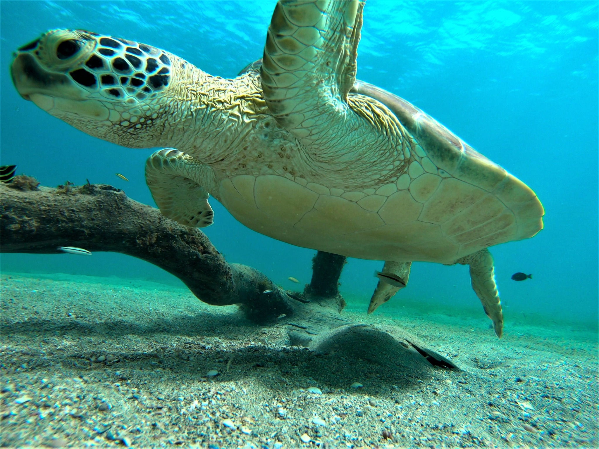 Tiempo para hoy viernes 1 de septiembre: Soleado, caluroso, brumoso ...